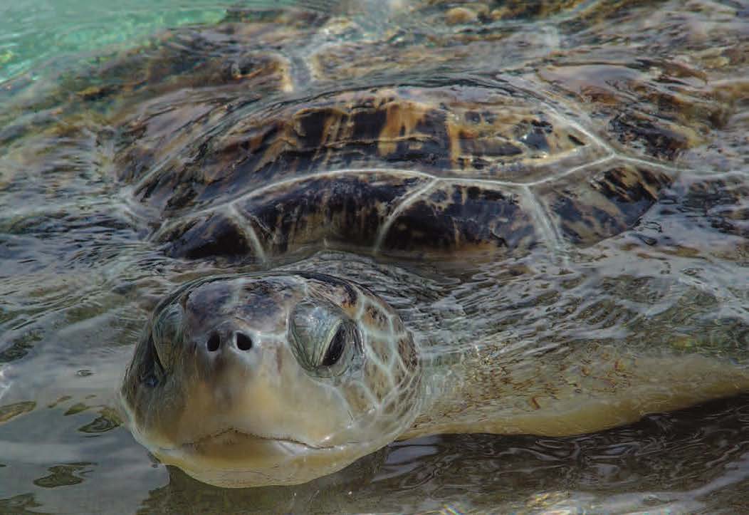 Sandy Point National Wildlife Refuge - Chris and Christie Powers