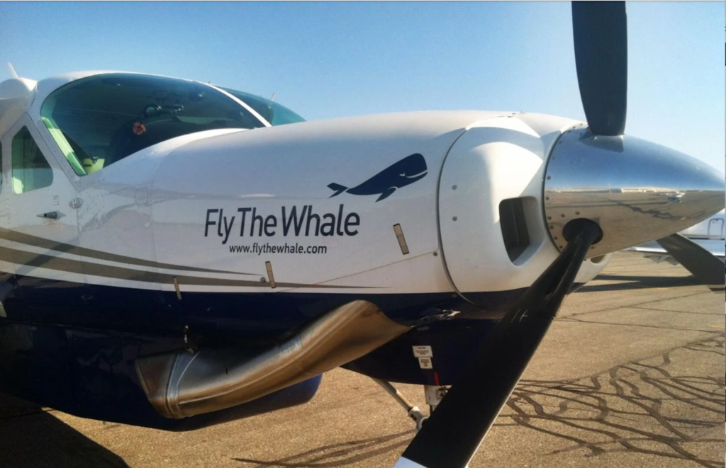 Fly the Whale Airlines Providing Inter-Island Flights - Chris and ...