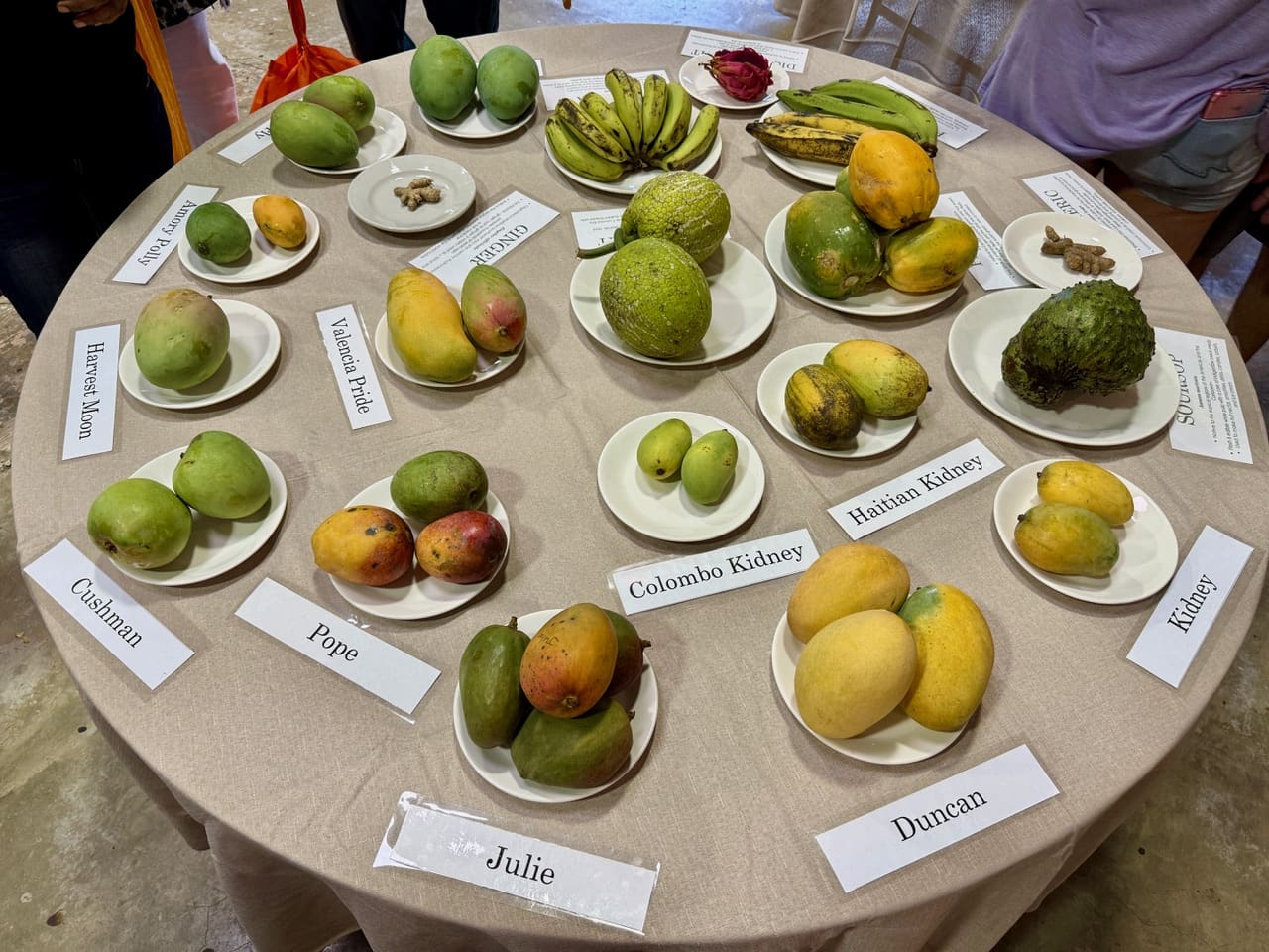 Mango Melee 2025 Festivities - Chris and Christie Powers